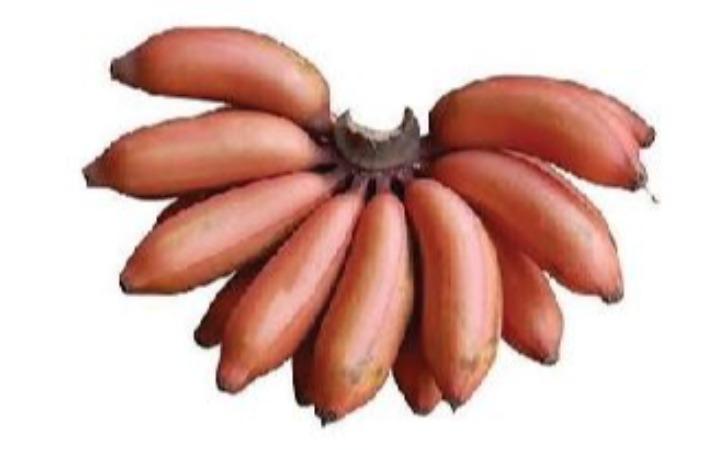செவ்வாழையில் அப்படி என்ன இருக்கு..! | Red Plantain - hindutamil.in